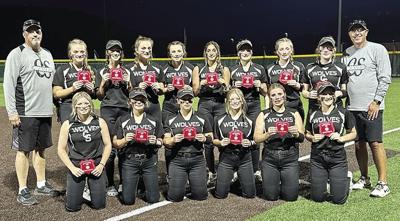 Lady Wolves fall 4-0 in Class D final | Sports | thecorryjournal.com