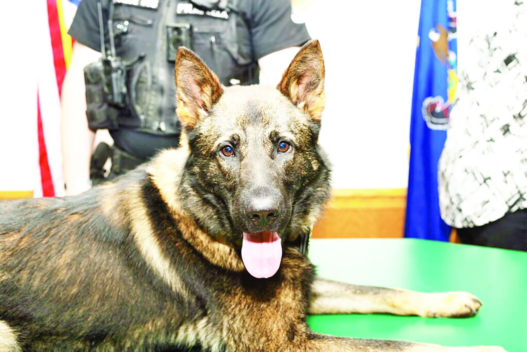 K-9 Miso ready to show off skills at National Night Out | News | thecorryjournal.com