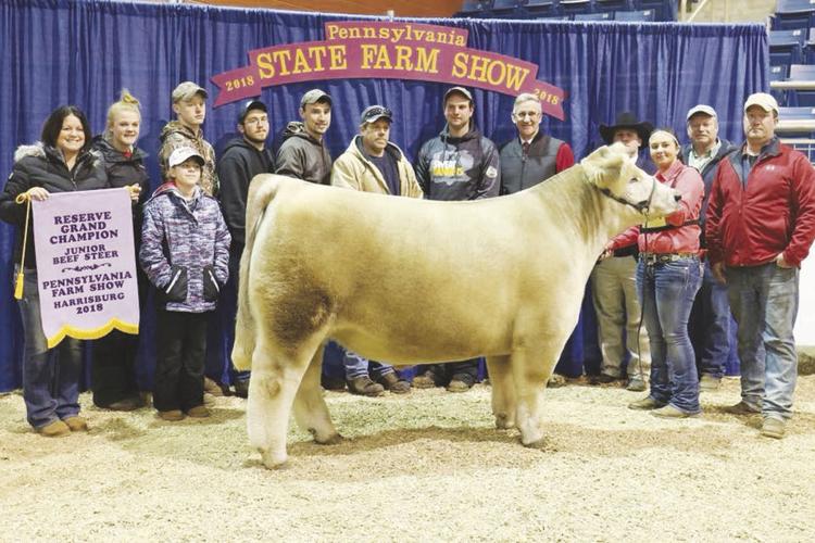 Area resident wins reserve grand champion title at state farm show ...