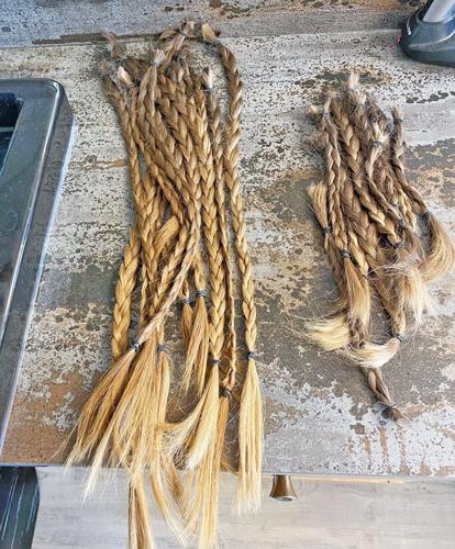 Corry girls donate hair amid one’s own battle with cancer | Hometown ...