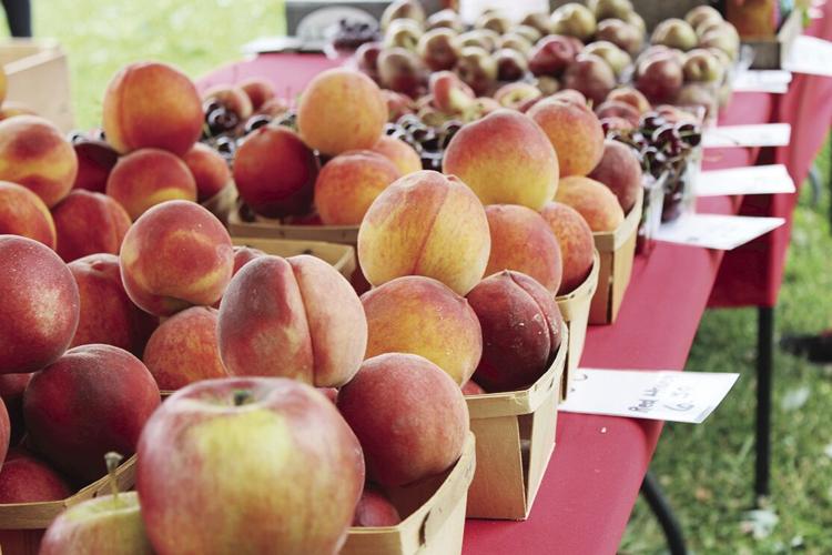 Produce returns to farmers market | News | thecorryjournal.com