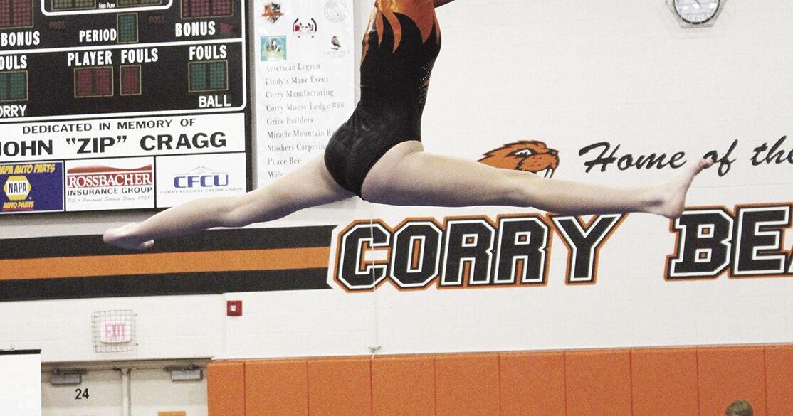 Marvin, Allen and Matteson all-around champs at home meet | Sports ...