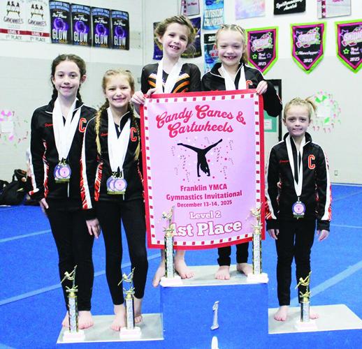 Platinum, Level 2 gymnastics teams top podium at Franklin meet | Sports ...