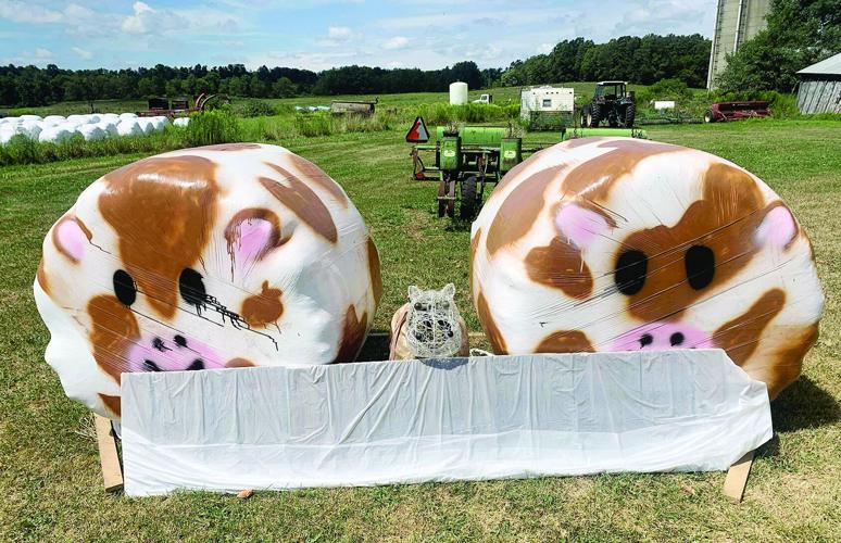 Bales of fun: Hay bale contest returns to promote Spartansburg ...