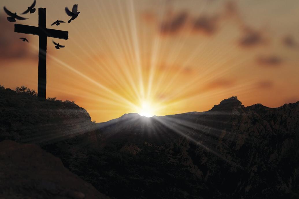 News | thecorryjournal.com