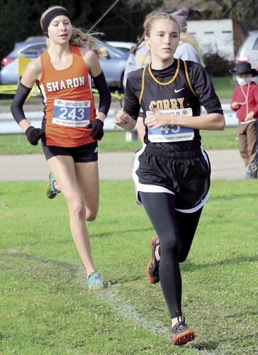 Smrcka has big showing at cross-country states | Sports ...