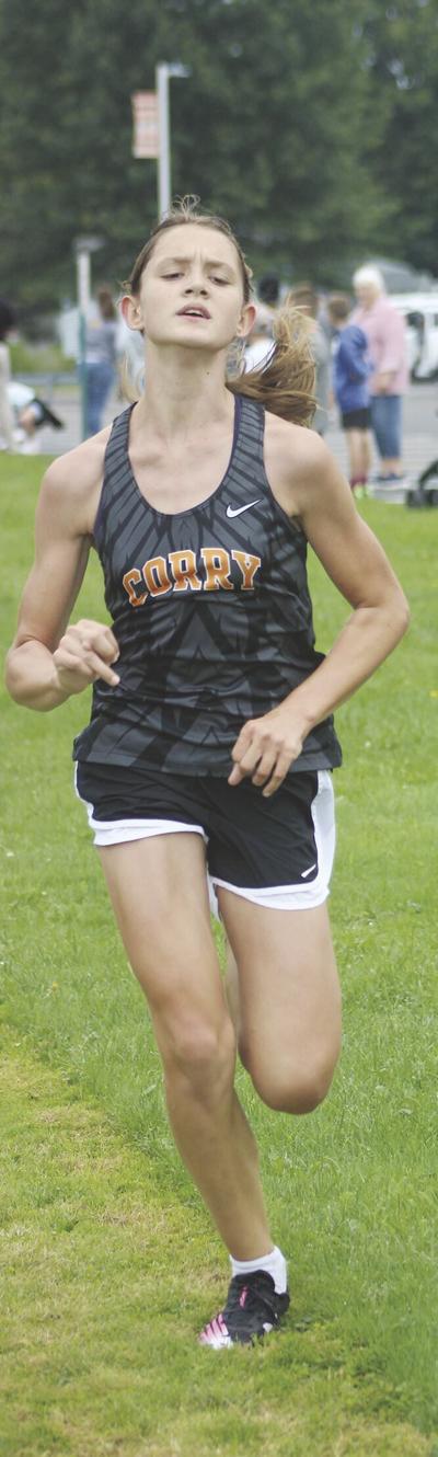 Corry's Jordan Fox region runner of year | Sports | thecorryjournal.com