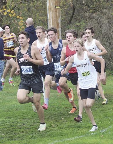 Corry runners Bayle, Fourspring qualify for states | Sports ...