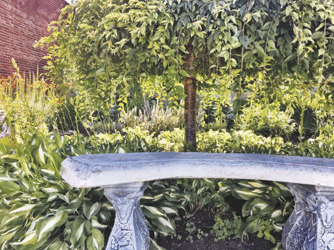 July Garden of the Month presented to Corry woman for 2 colorful ...