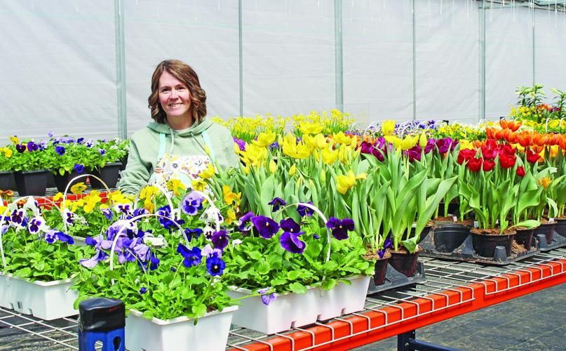Misty Meadows Greenhouse prepares for grand opening in Elgin | News ...