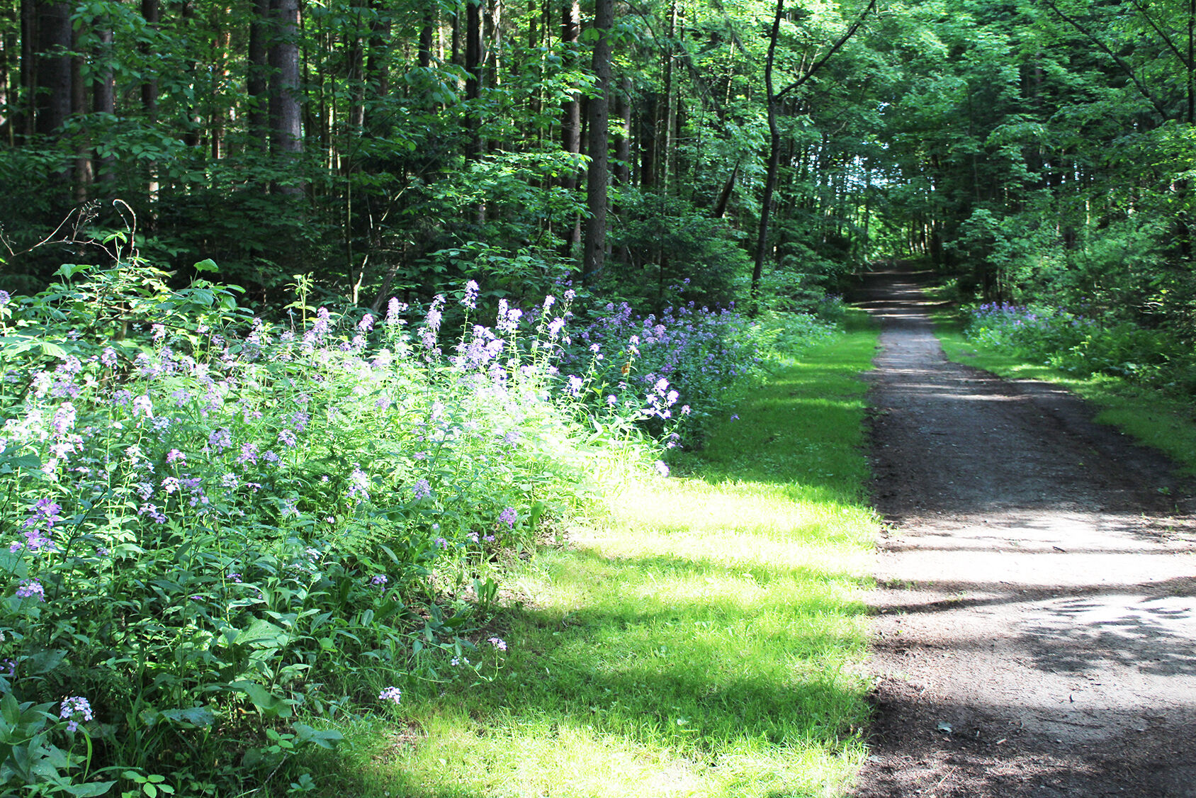 Corry Junction Greenway Trail refurbishment brings 37% increase in ...