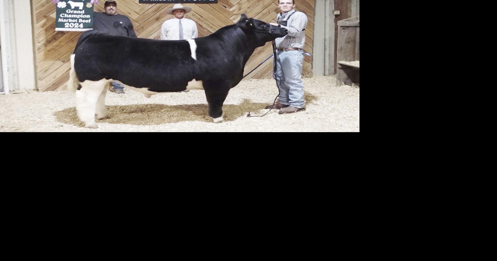Spartansburg teen’s steer brings top prize at county fair | News ...