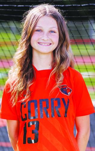 7 soccer players named to all-stars list; Goodwill selected as player ...