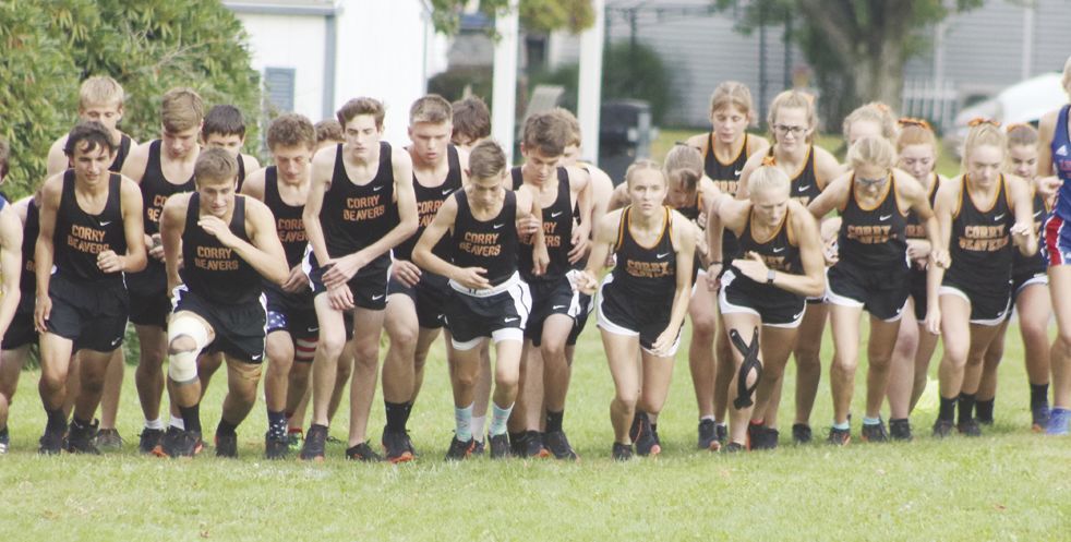 Cross country teams sweep Eisenhower, Fort LeBeoeuf | Sports ...