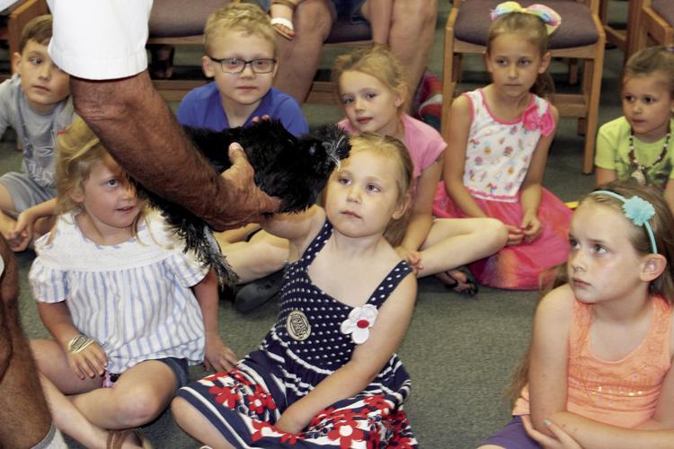 Jungle Terry captivates kids | News | thecorryjournal.com