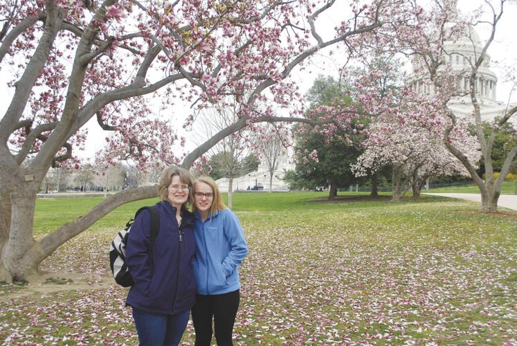 Cherry Blossom Express springs into Washington, D.C. | News ...