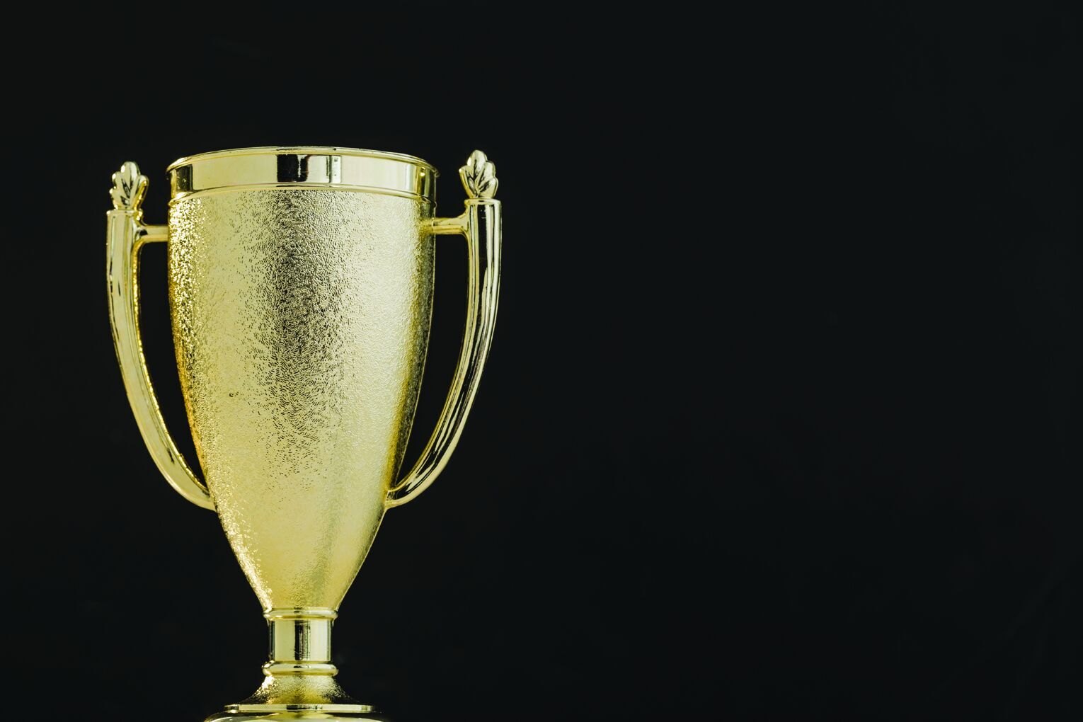 SNG's Margaret Weaver named for 2025 Newspaper Hero of the Year | News ...