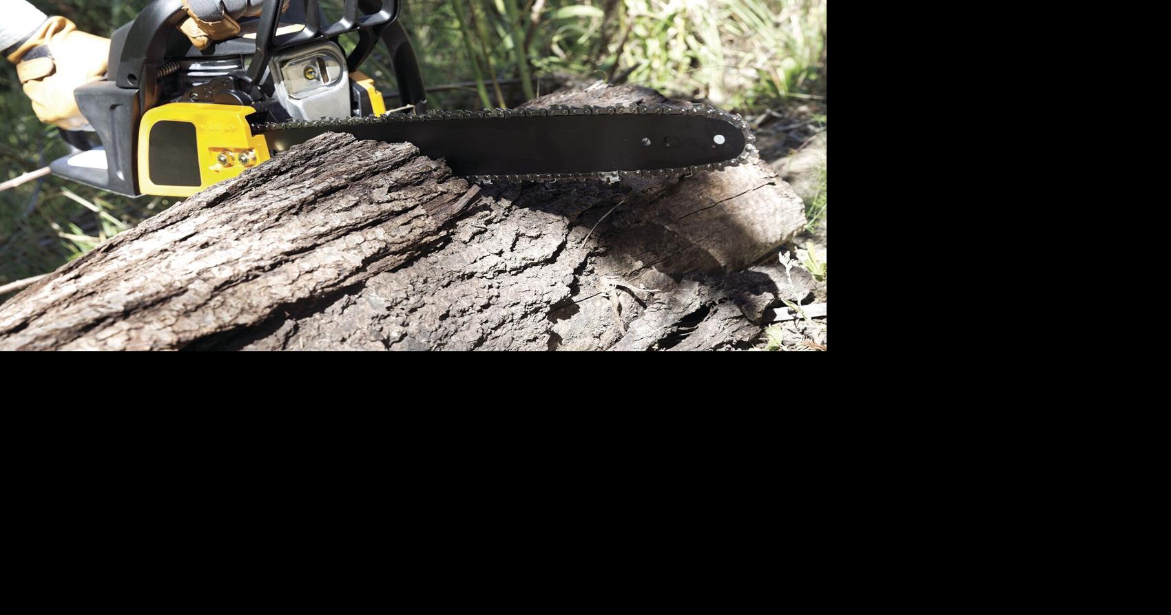 Chainsaw carving festival returning to CorryFest | News ...