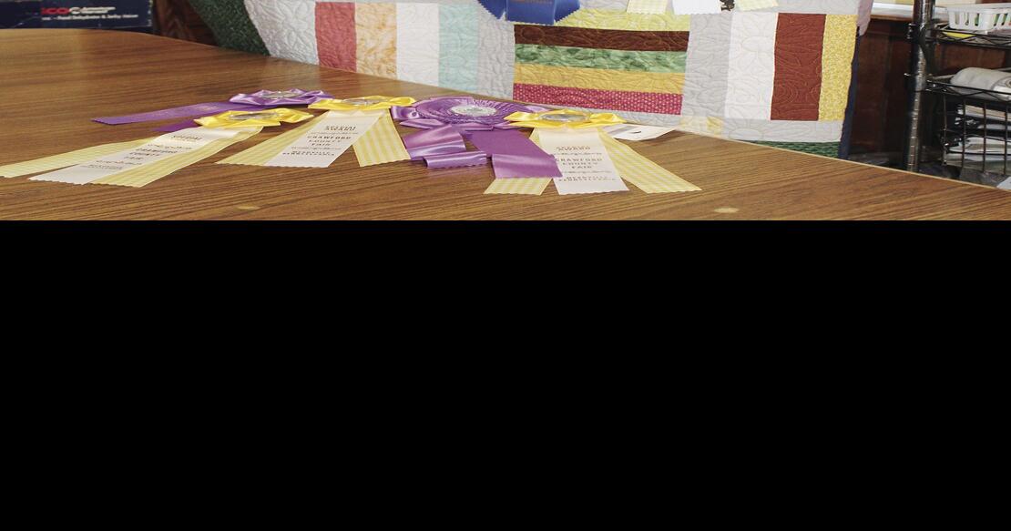 Sew talented: Union City girl earns multiple awards at local fairs ...