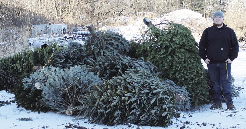Residents reminded to bring trees to city garage, check recycling ...