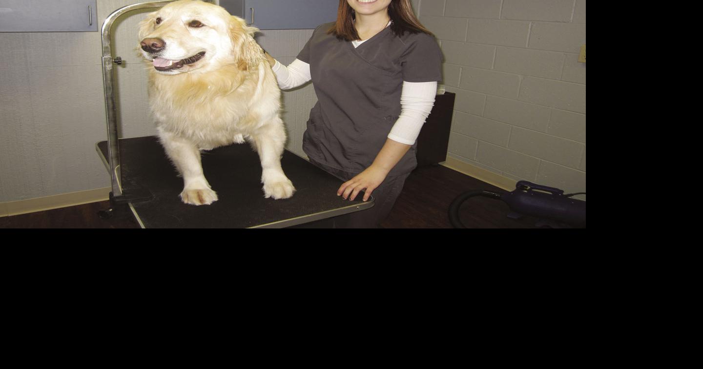 Pamper your pet with grooming services from NE Animal Hospital | News ...