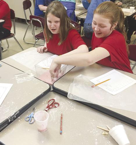 CAIS students get silly, crazy for reading | News | thecorryjournal.com