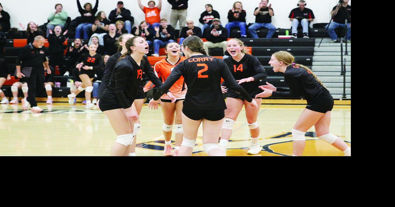 Beavers advance to semifinals after besting Bald Eagle in 3 sets ...