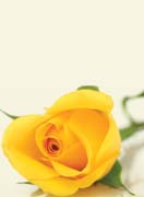 Donna Rae Johnson, 51 | Obituaries | thecorryjournal.com