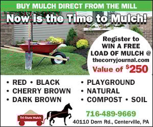 Weather | thecorryjournal.com