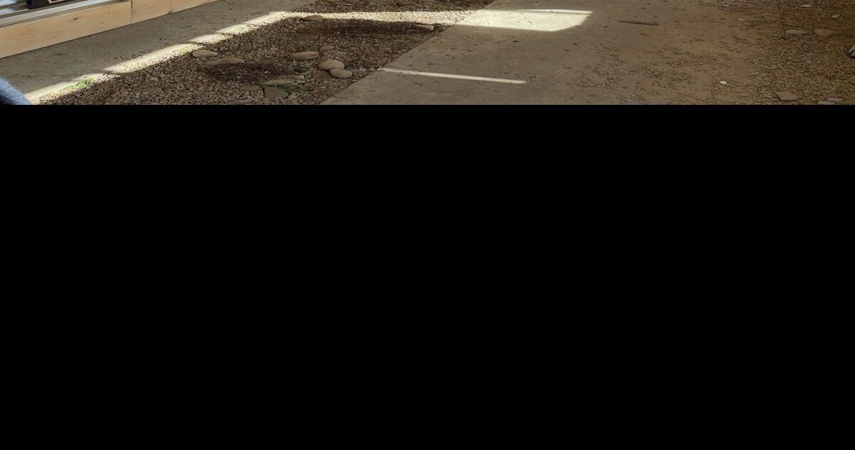 Frailey's Greenhouse and Garden Center plans unique indoor venue ...