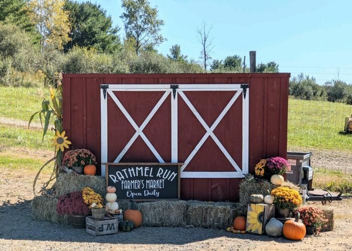 Pumpkin Festival set for Saturday at Rathmel Run Farms | News ...