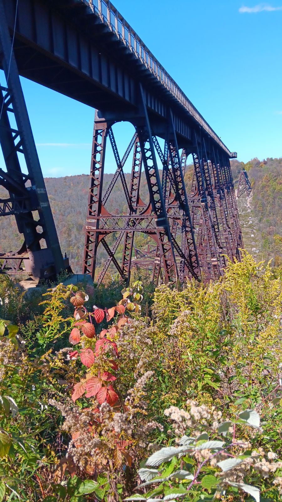 Kinzua Bridge State Park Fall Festival is this weekend | Local ...