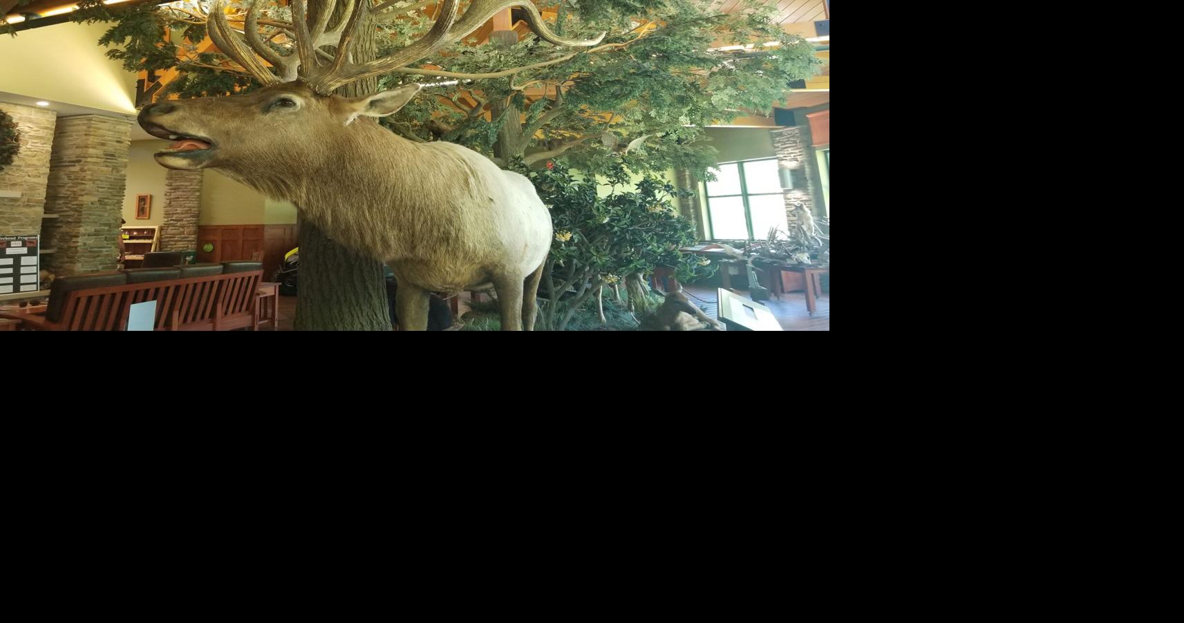 Elk Country Visitor Center programs in January | News ...