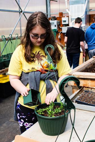 Greenhouse given new life at DuBois Area Middle School | News ...