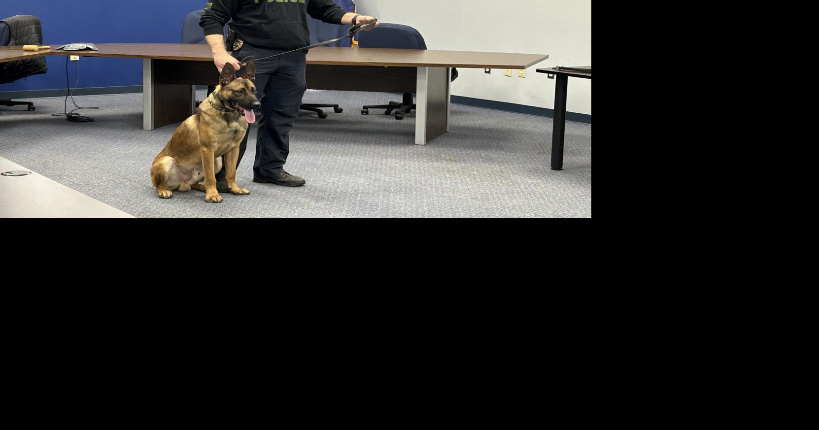 K-9 Officer Draco is newest member of the City of St. Marys Police ...