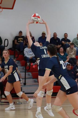 The run continues: C-L sweeps on Pink Night | Sports ...