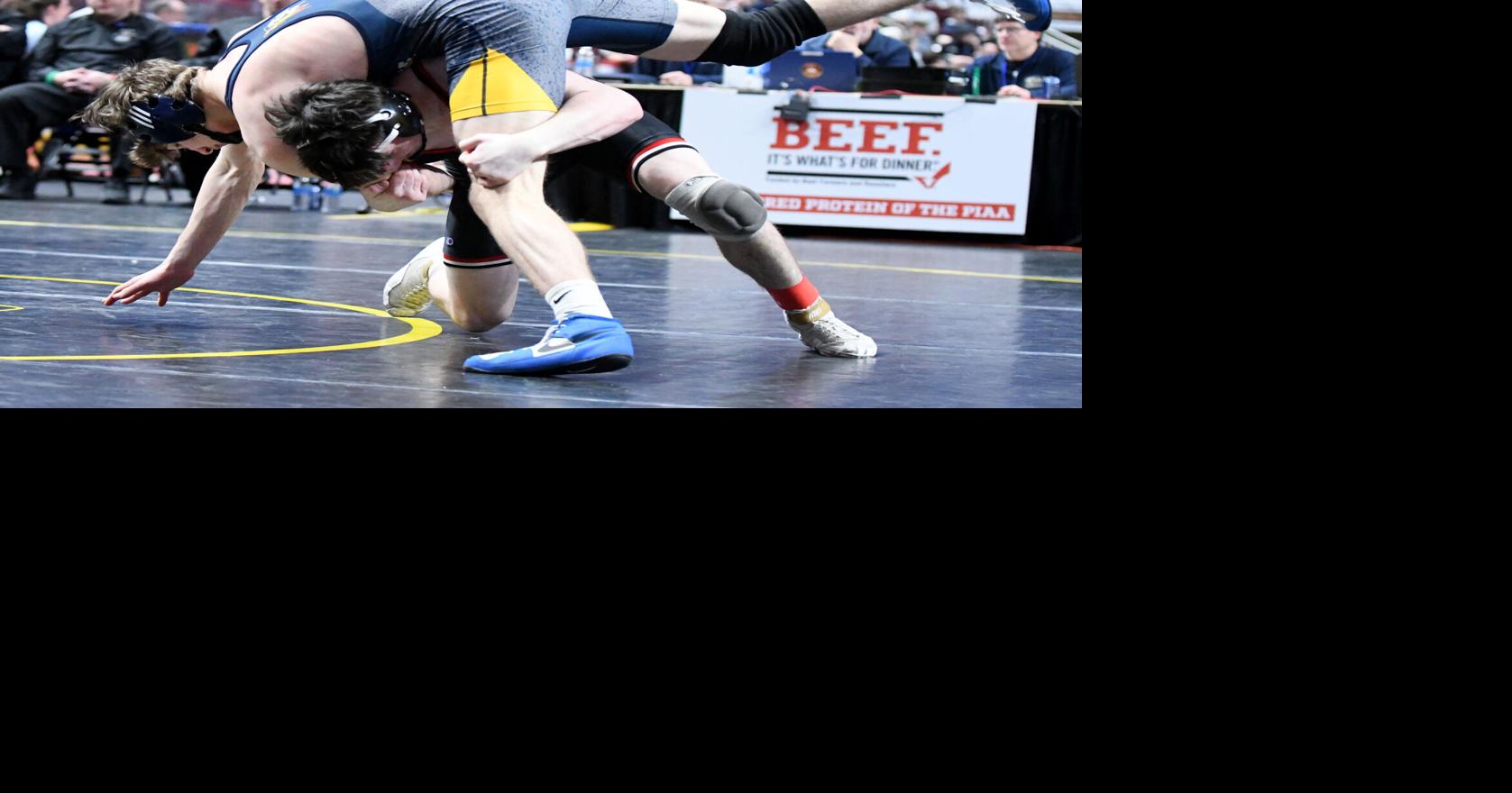Collins wins bronze, Chamberlain 6th for Bison | Wrestling ...