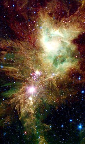 The Christmas Tree Cluster in a Winter Sky | Columns ...