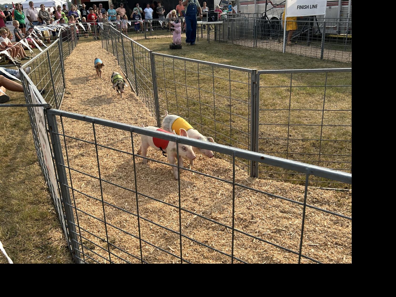 Local | thecourierexpress.com