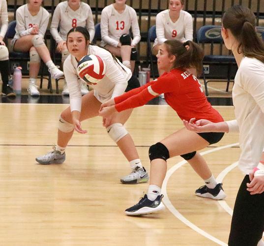 More from Thursday: Lady Bulldogs claim D9 Class 2A volleyball title ...