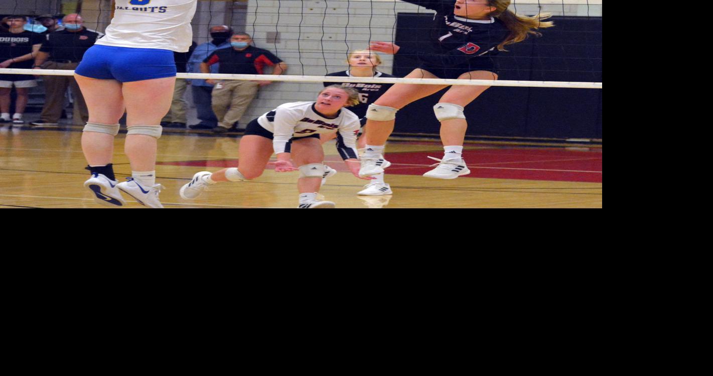 Gregory, Newton garner Laurel Mountain MVP honors | Sports ...