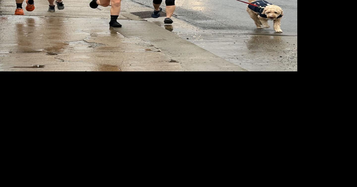 Hardy souls participate in New Year’s Day Run and Clarion River Dunk ...