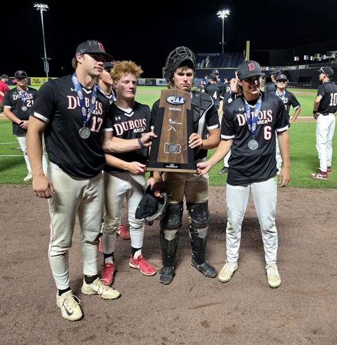 PIAA roundup: Beavers drop 5A final in 14 innings | Local ...