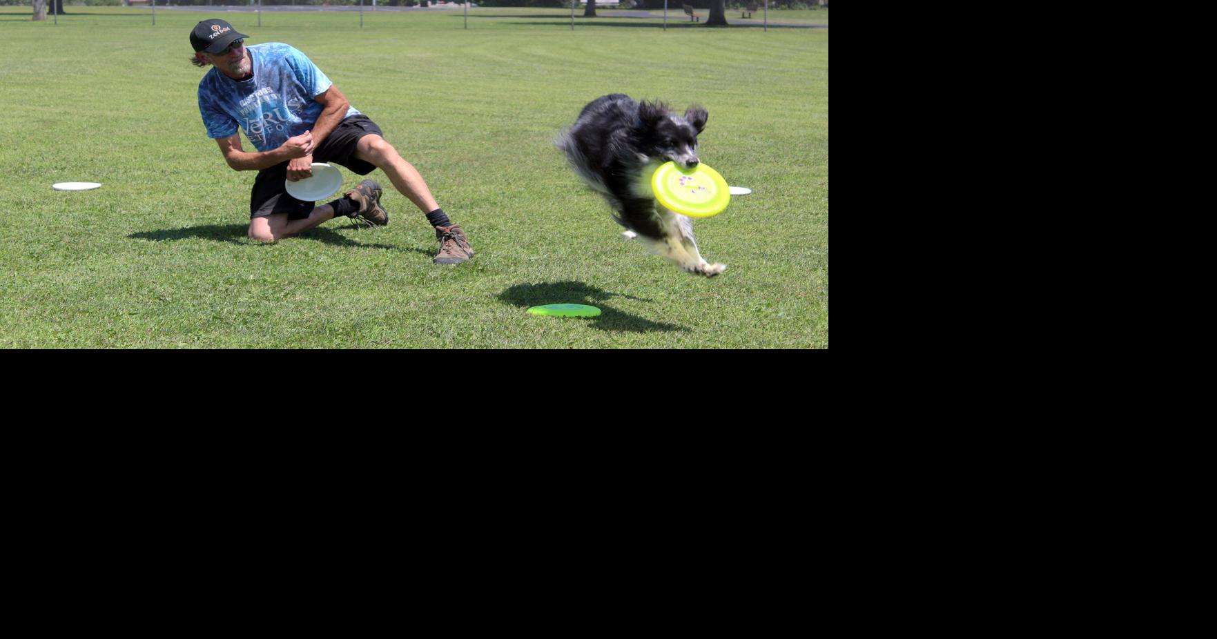 Disc dog competition coming to Sandy Twp. Park in July | News ...