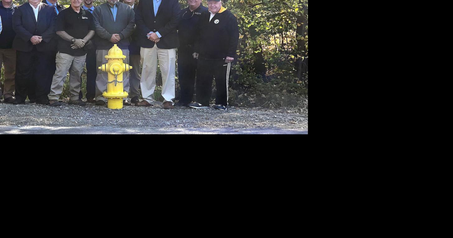 Aqua installs first fire hydrants in Treasure Lake | News ...