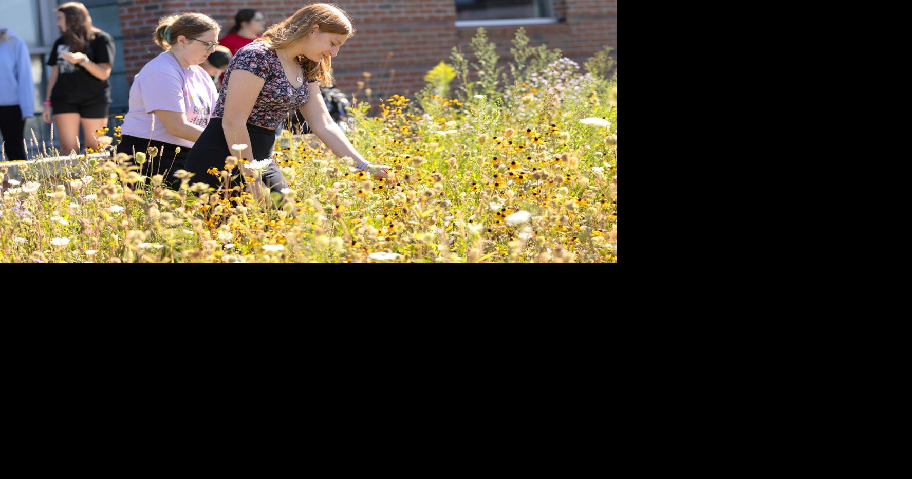 Ecology with a side of education | News | thecourierexpress.com