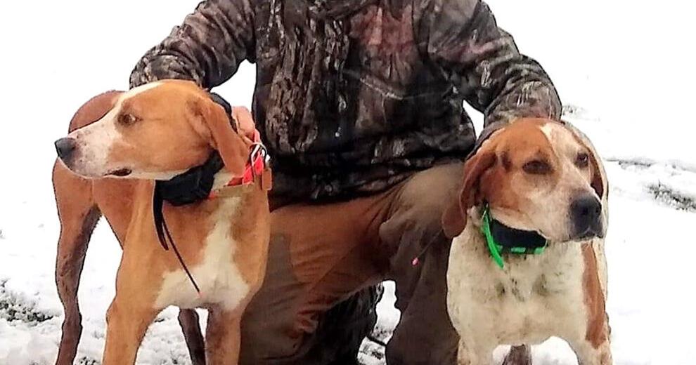 RIVER RESCUE: Dog rescued from icy Allegheny River in Rimer | News ...