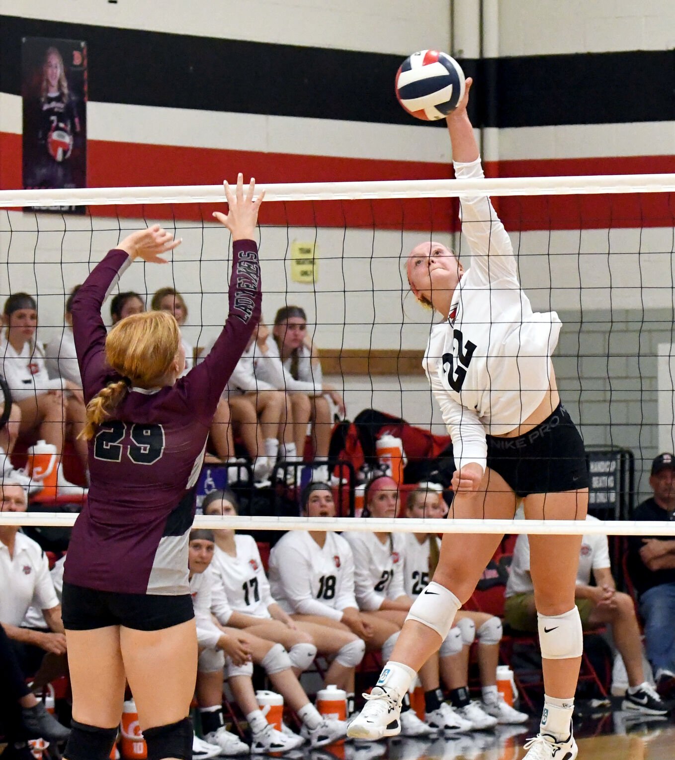 Lady Beavers to rely on mix of youth and veterans | Sports ...