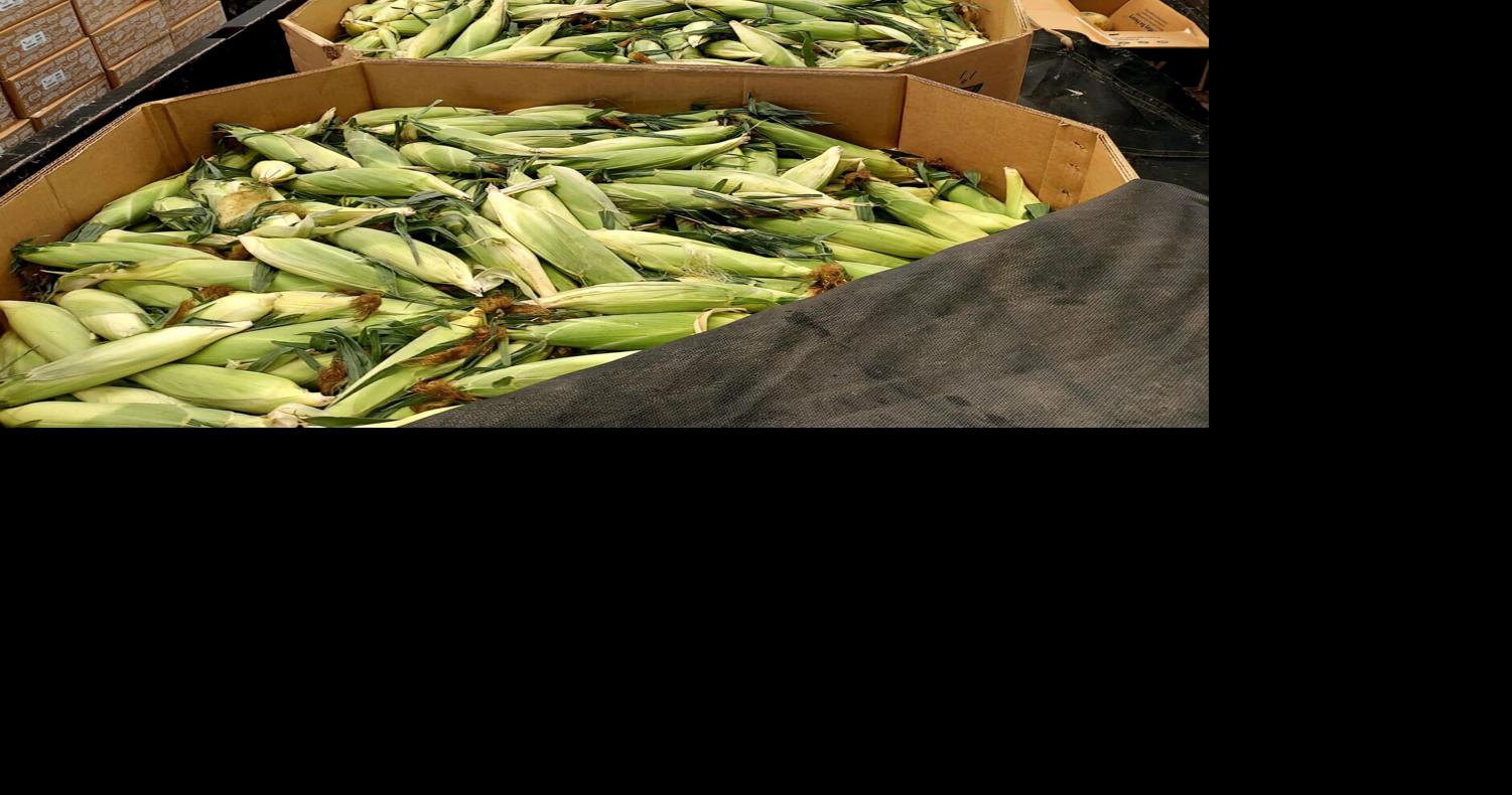 Christian Food Bank grateful for partnership with First Fruits Farm ...