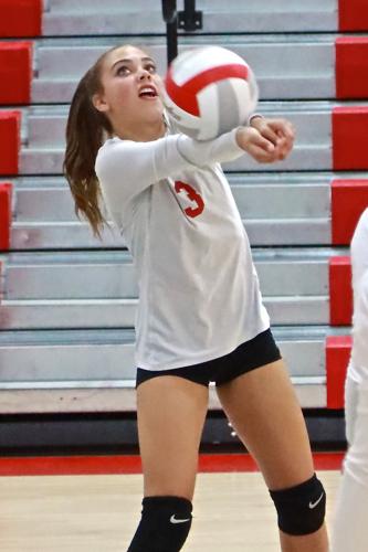 Lady Bulldogs top Forest, Brookville | Sports | thecourierexpress.com